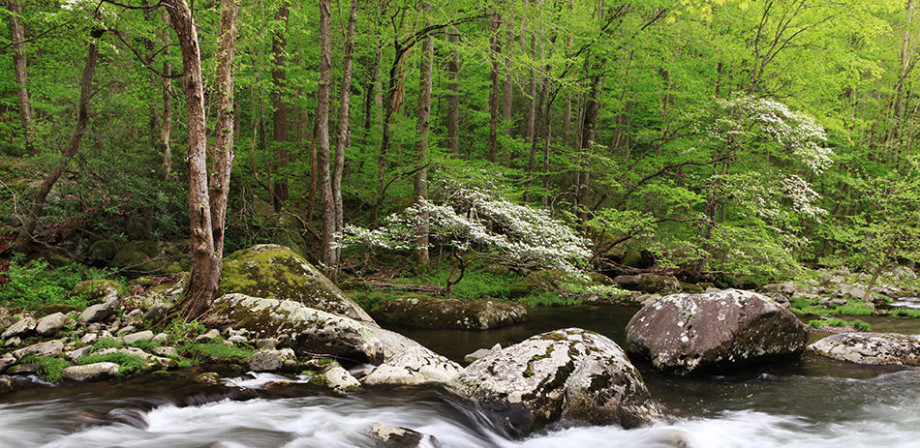A Time to Remember ‹ Terry Gentry Fine Art Photography